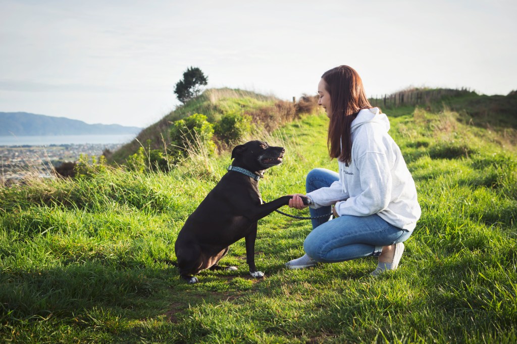 GROUP TRAINING – Pawsitive Behaviours